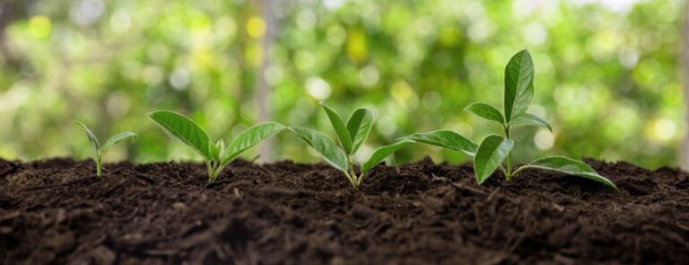 WA's Premium Waste Management - Eco Resources